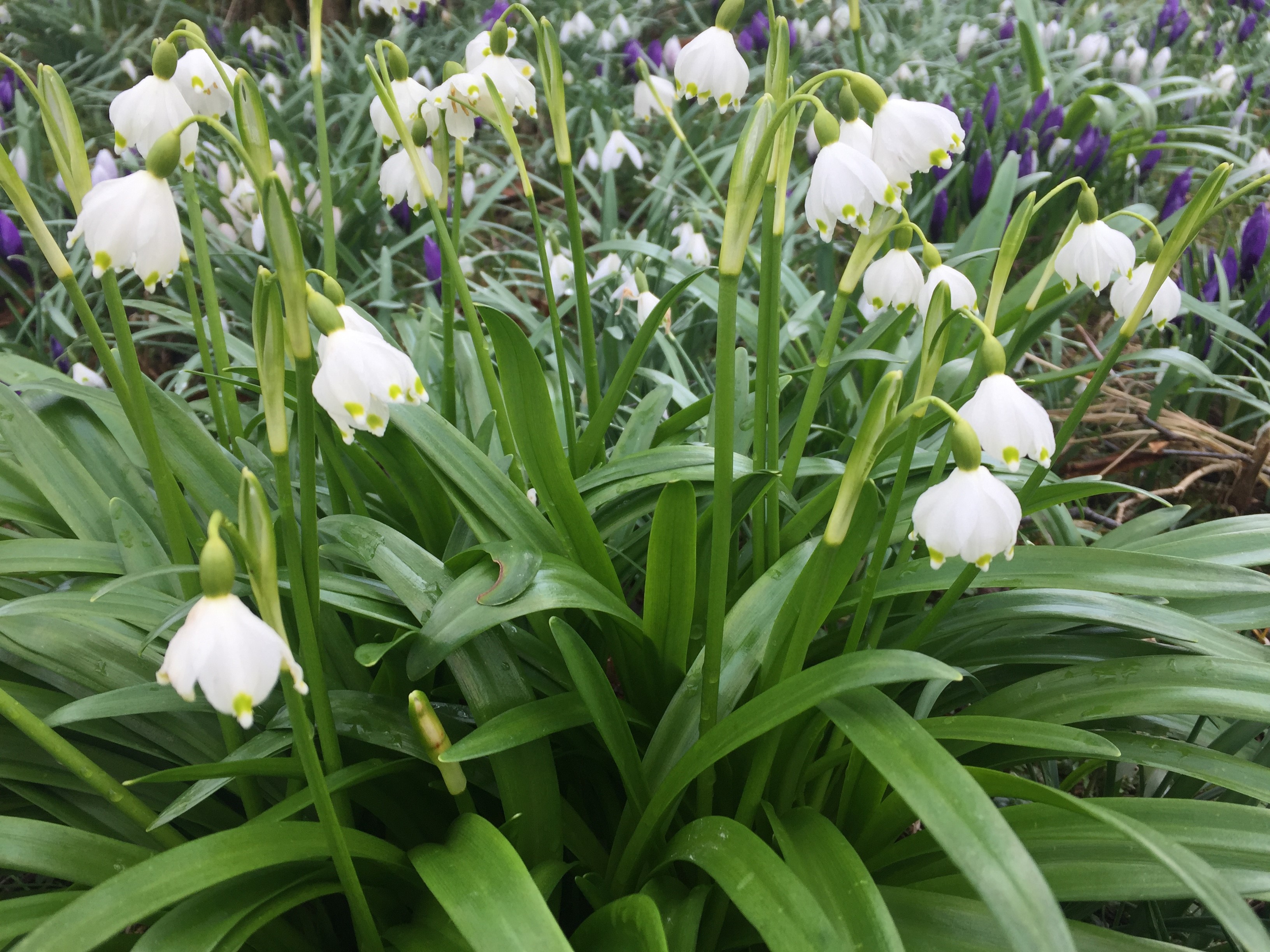 Indre Fosen kirkelige fellesråd - Indre Fosen kirkelige fellesråd